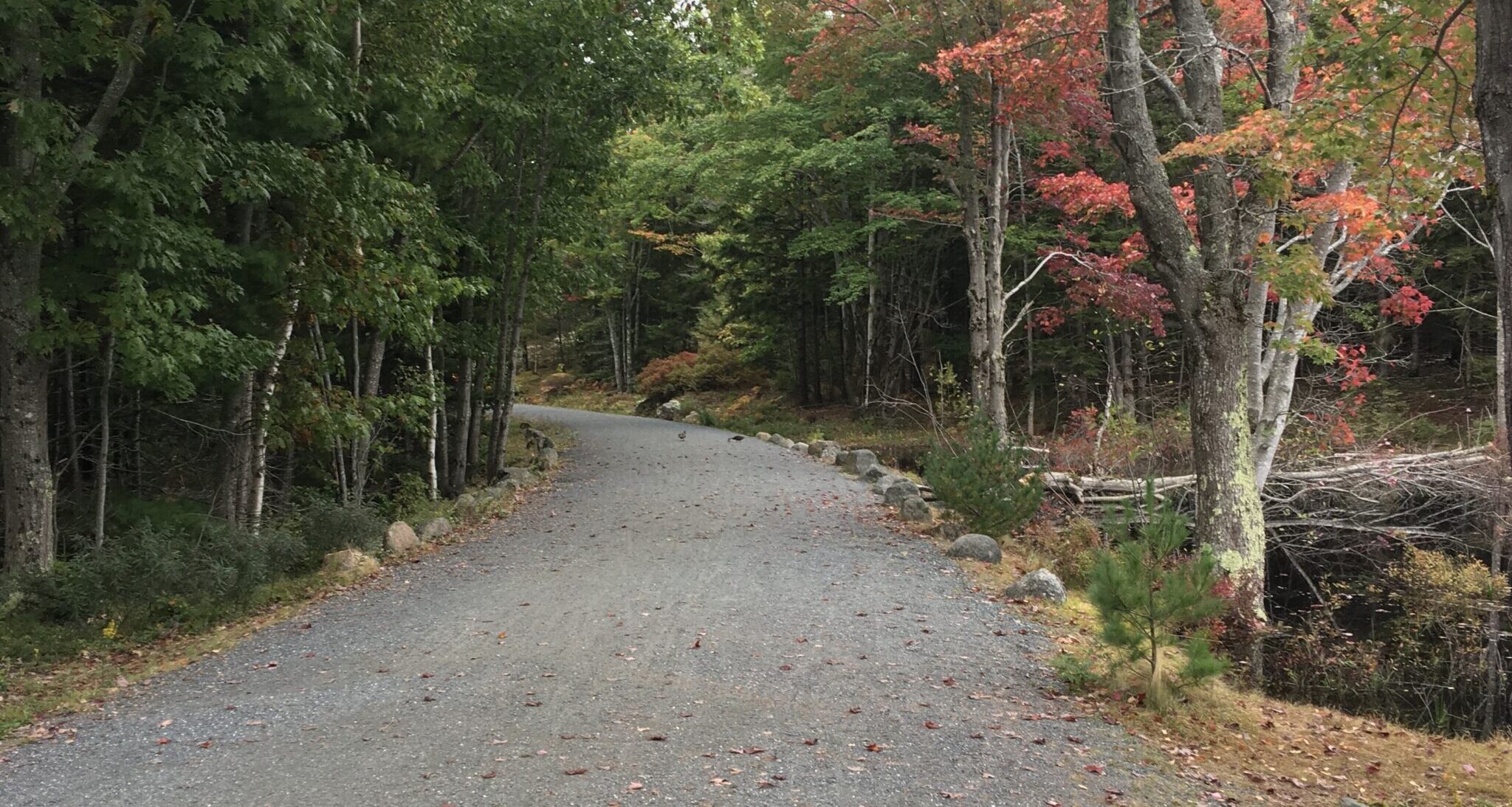 Alumni Events | Maine-Dartmouth Family Medicine Residency